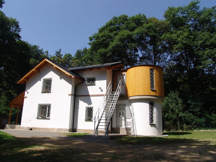 Apt In Forest, 1st Floor. Ground/lower Floor. - Písek