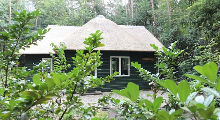 Vakantiehuis 'T Musje In Epe - Epe