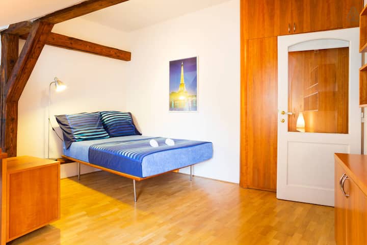 Premium Loft Private Attic Downtown - Prague