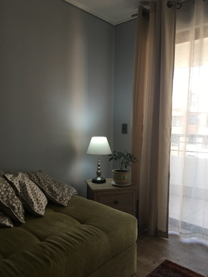 Cómodo Departamento A Dos Cuadras De Providencia - Chili