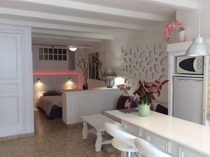 Studio 32m2 Dans Villa Au Calme - Sainte-Maxime