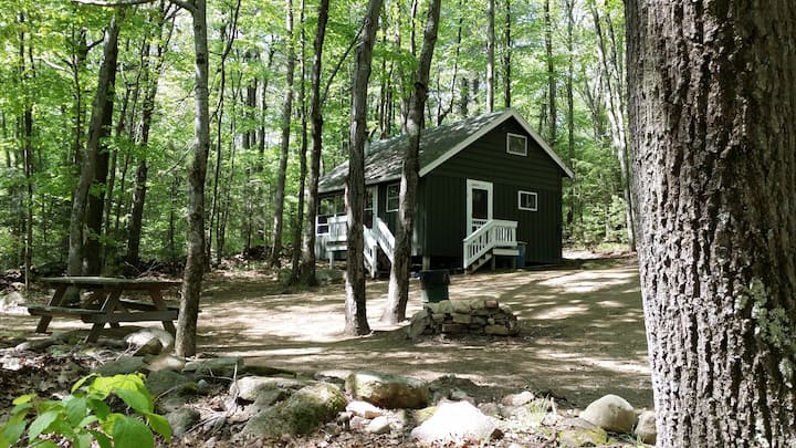 The Loft At Wallis Cove Cabins - Douglas State Forest, Douglas