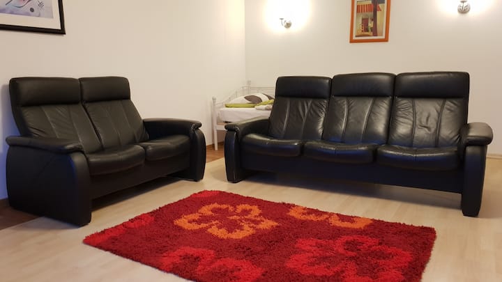 Offenbach/frankfurt Fine Apartment For 6 People - Neu-Isenburg
