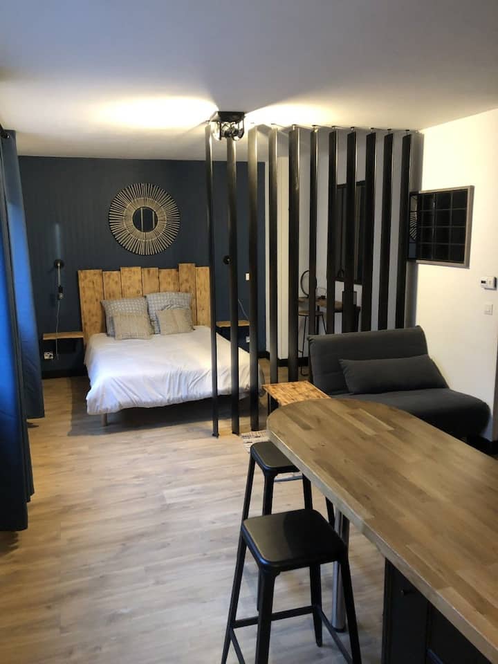 Grand Studio Cosy - Bonneville