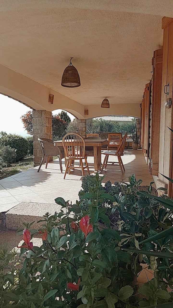 Charmant Appartement En Rez De Jardin - Sartène