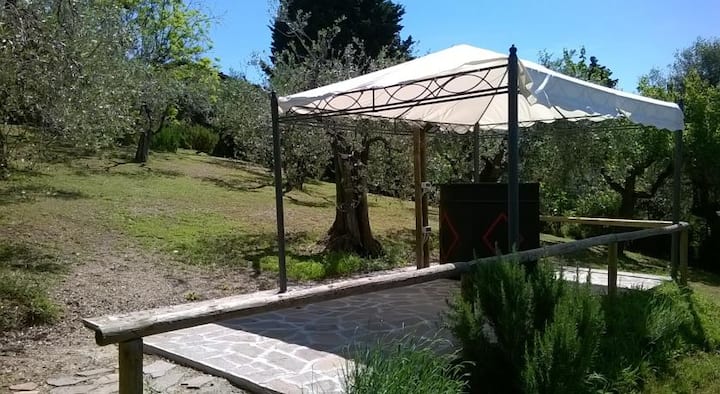 ' - Scandicci