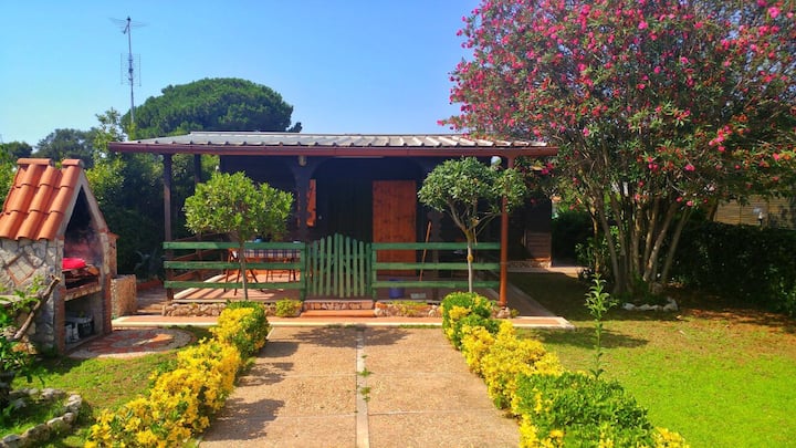 Sabaudia E San Felice (2km) - Sabaudia