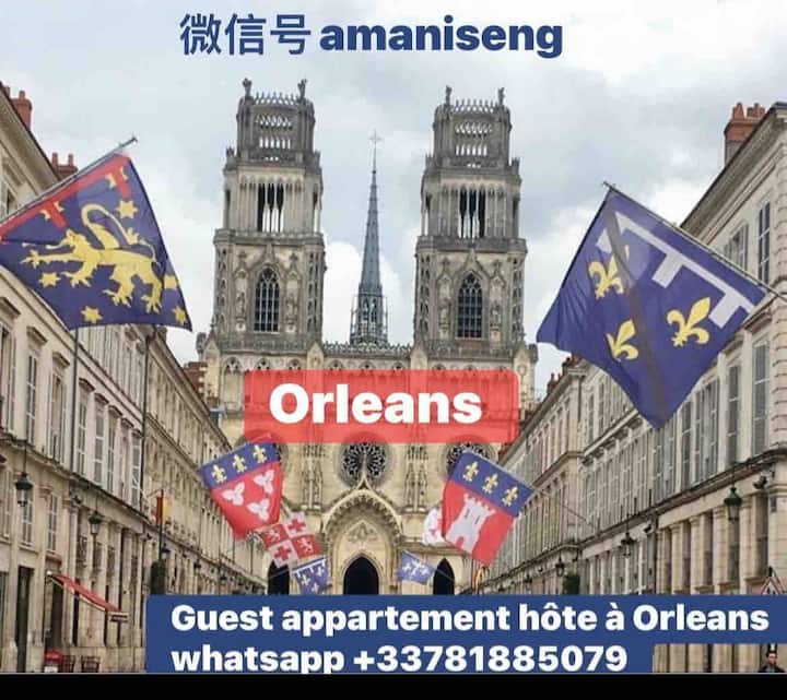 45/4 Orleans Guest Appartement Entier (4p 95/m2. - Orleans
