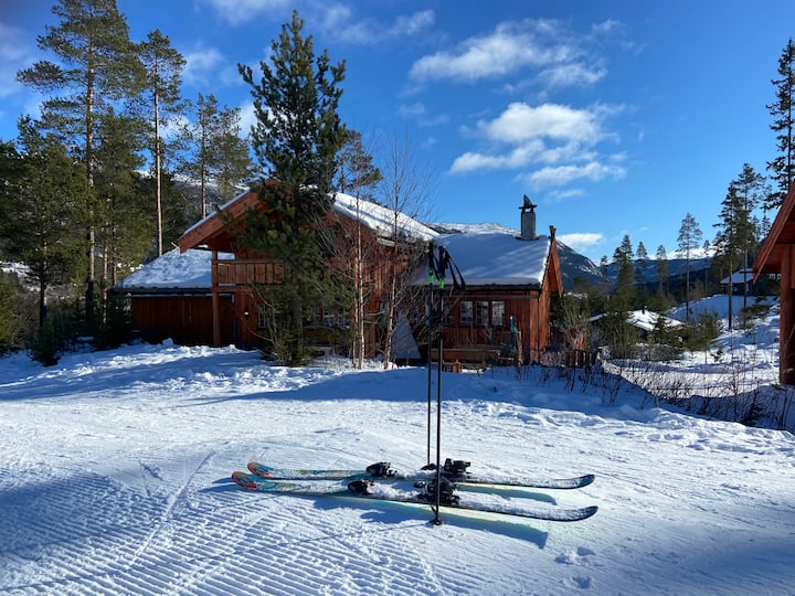 Bjørnehuset - Norge