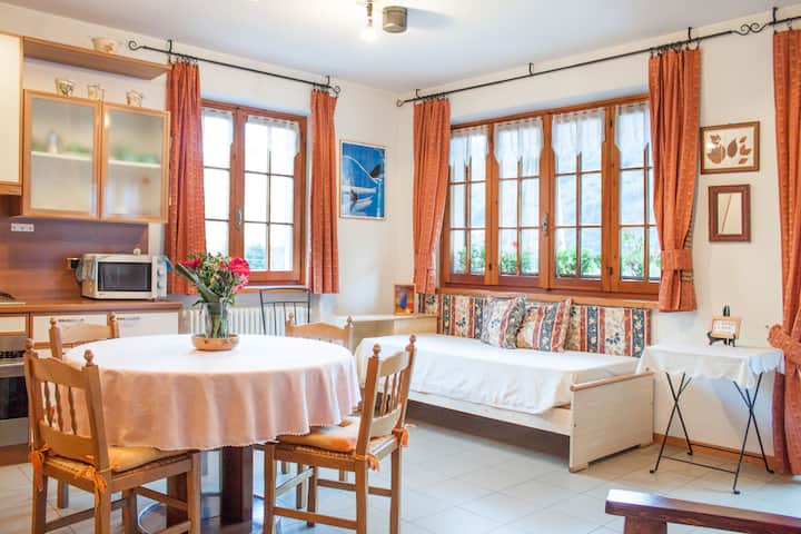 Grappolo's Apartment In B&b - Barzio