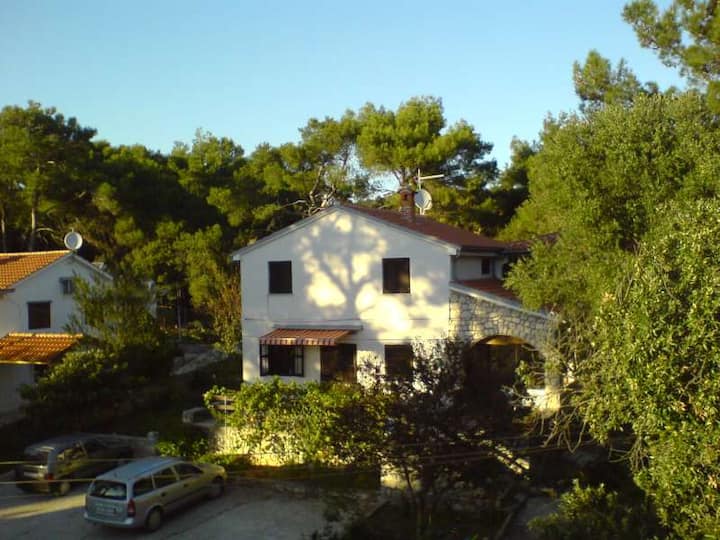 Apartment Tanja  I Artatore Losinj - Mali Lošinj