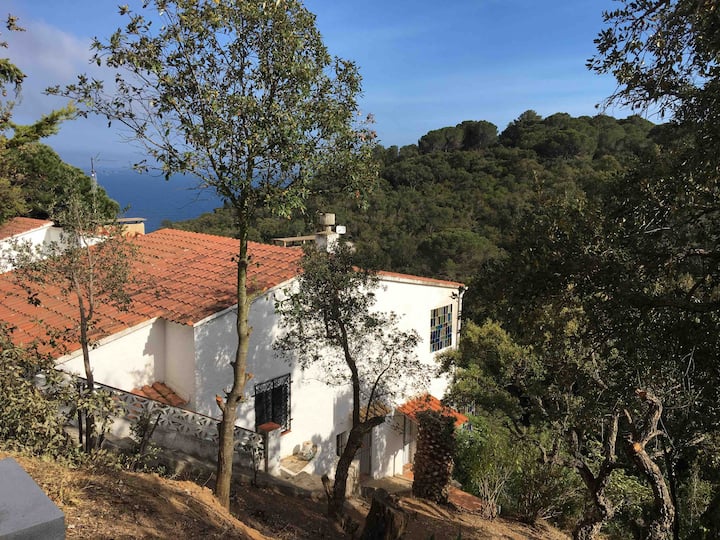Studio Meerblick, Playa Brava, Canyelles, Tossa, - Tossa de Mar