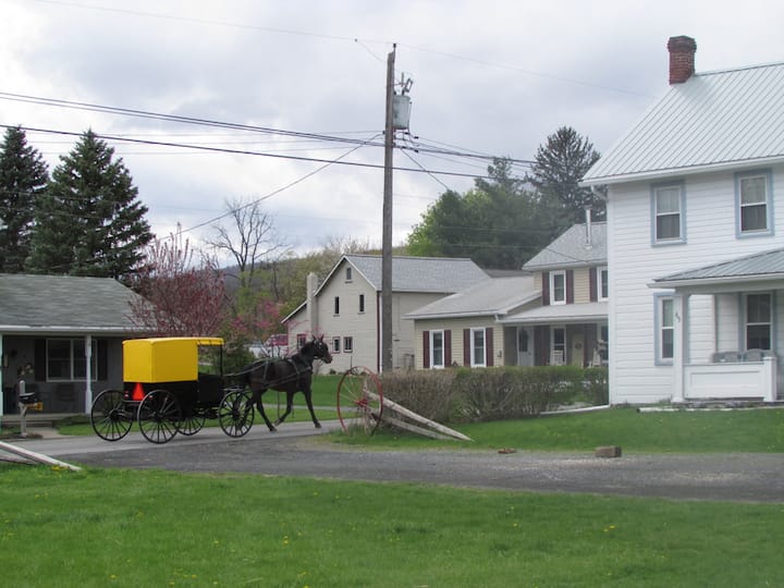 Dayze Gone Bye Guest House - Huntingdon County
