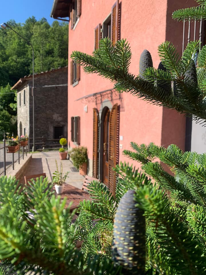 Crea La Tua Esperienza In Val Sestaione - Via Val di Luce