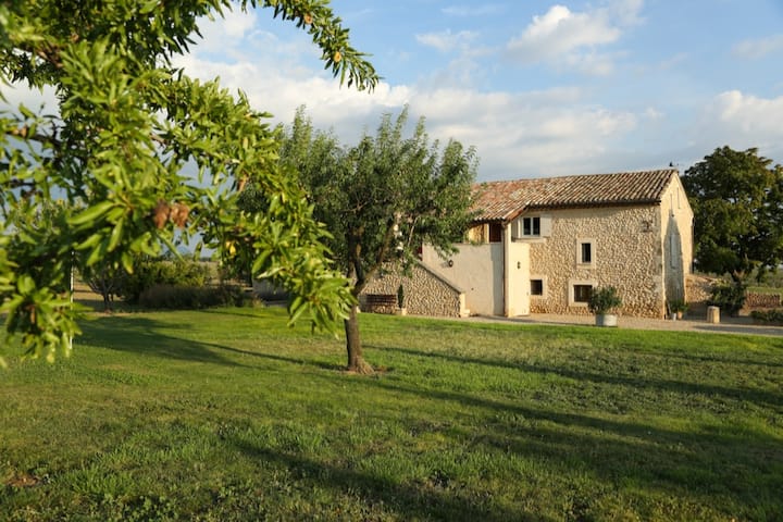 Chambre B&b Dans Un Mas Au Pays Des Lavandes - Riez