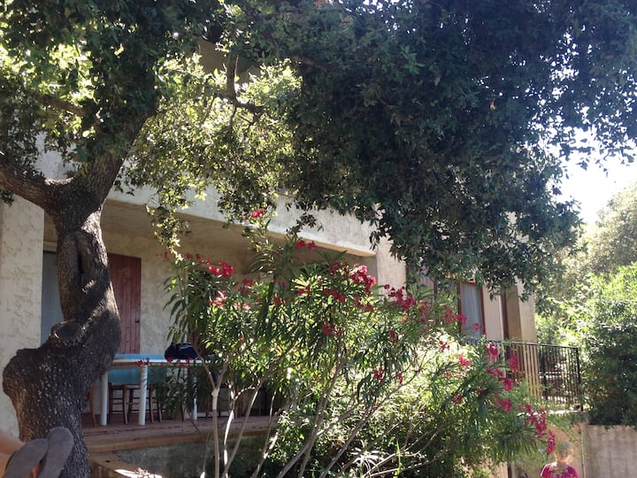 Giens - Rez De Jardin De 85m² - Porquerolles