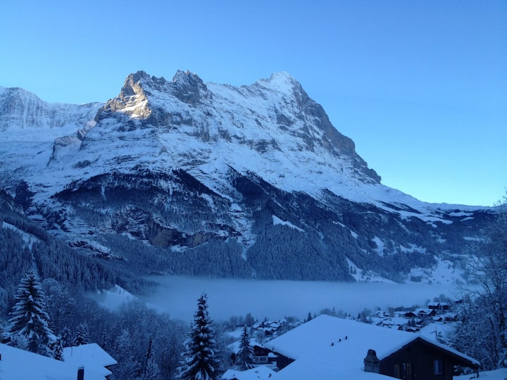Lovely 2.5-room (Family-) Apartment - Grindelwald