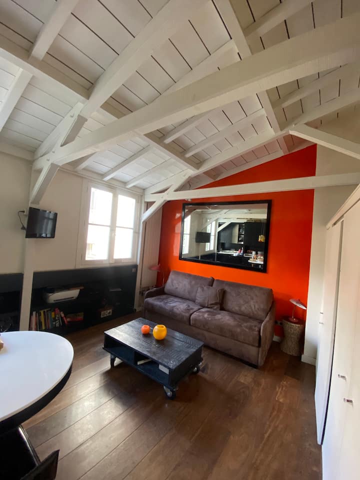 Luxurious Parisian Studio In The Heart Of Paris 6e - Paris