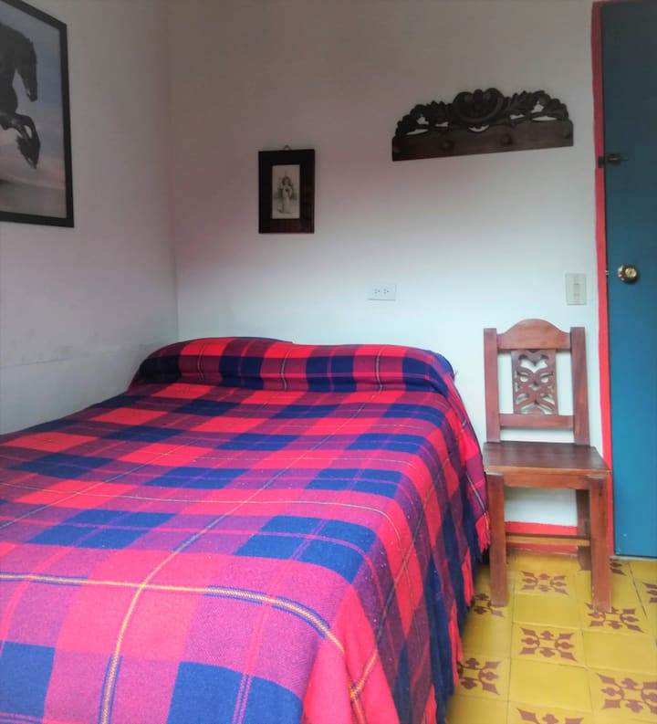 Hostal Las Violetas - Habitación 8 - Jardín