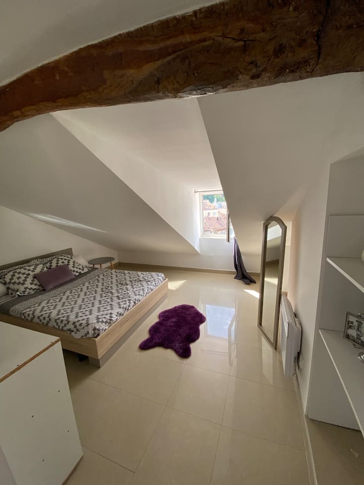Charmant T2 En Centre Ville N° 51 - Corsica