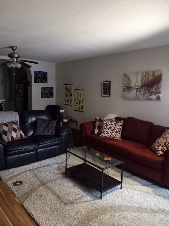 2 Bedroom/2 Bath Condo In Med Center/nrg - 휴스턴