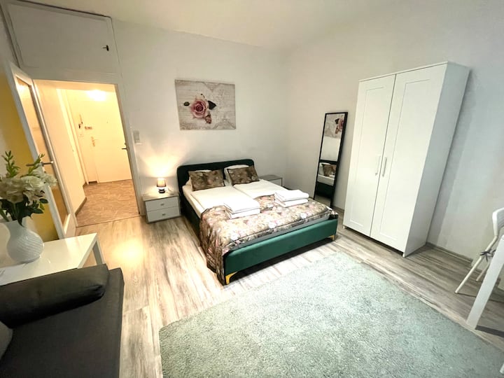 Cute And Bright Studio Close To The Center - Vienne