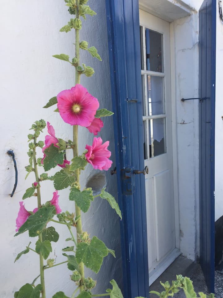 Maison Oléronaise Tout Confort - 600 M De La Plage - Île d'Oléron