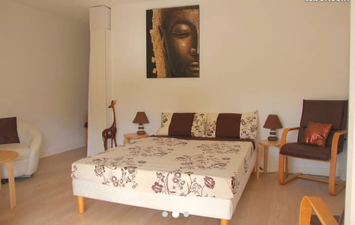 Sete Chambre Palmiers (2à4p) +Parking /Plage 12mn - Mèze