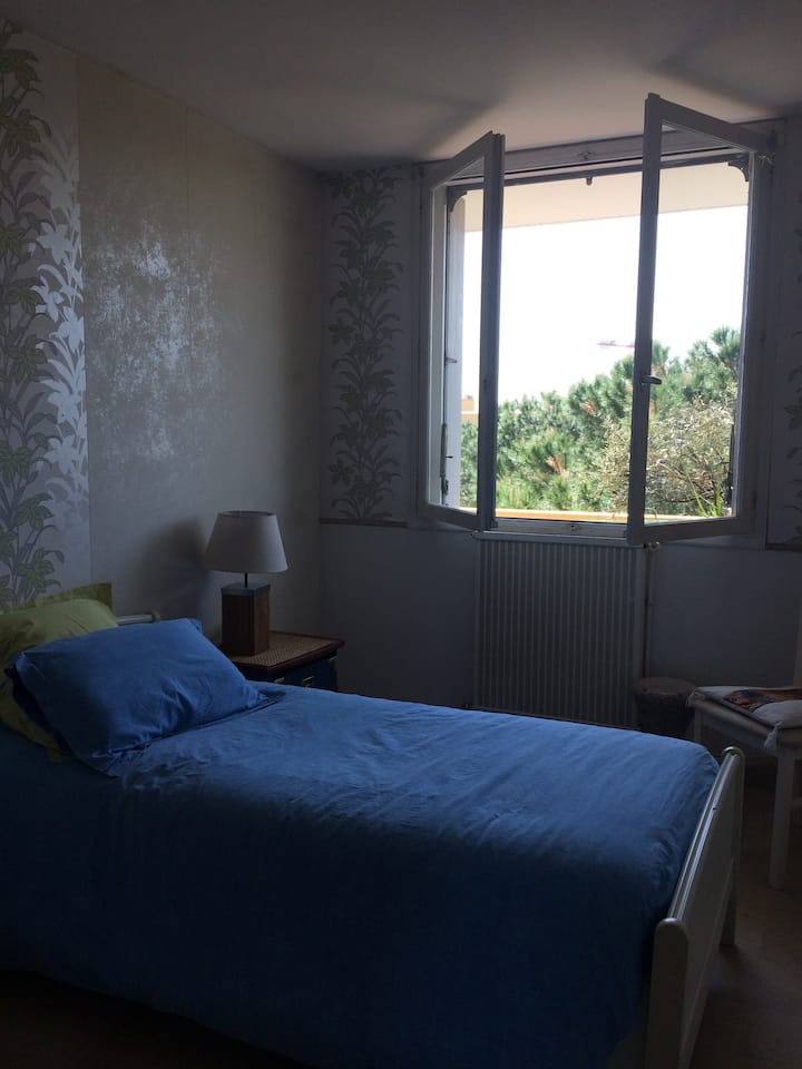 Chambre Lumineuse Centre Montpellier - Montpellier