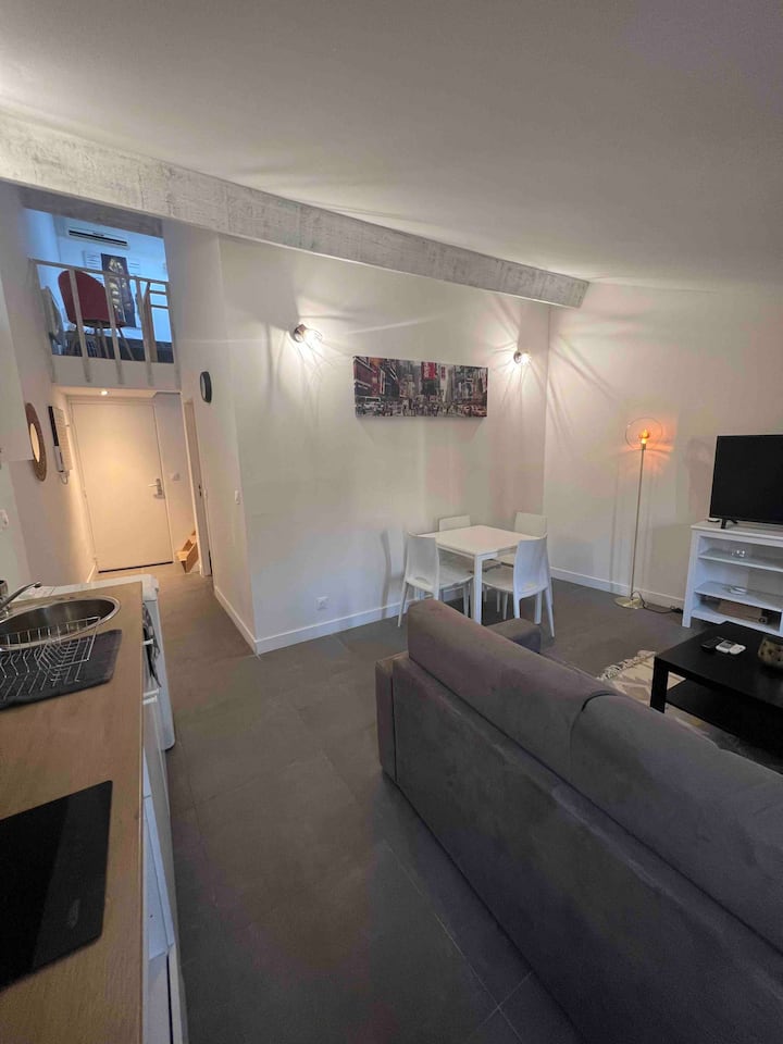 Magnifique T3 Duplex - Aubagne
