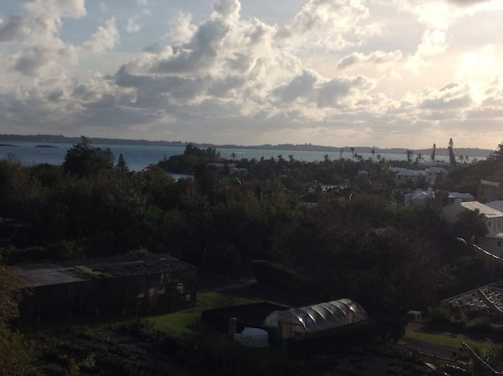 Monterrey - Bermuda