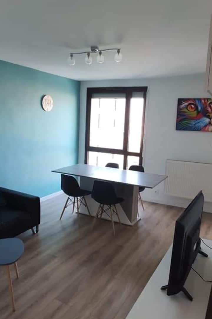 Room In A Flat 100m2 At 2 Min From Metro - Toulouse