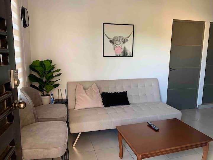 Departamento #8 Centro De San Nicolás - San Nicolás de los Garza