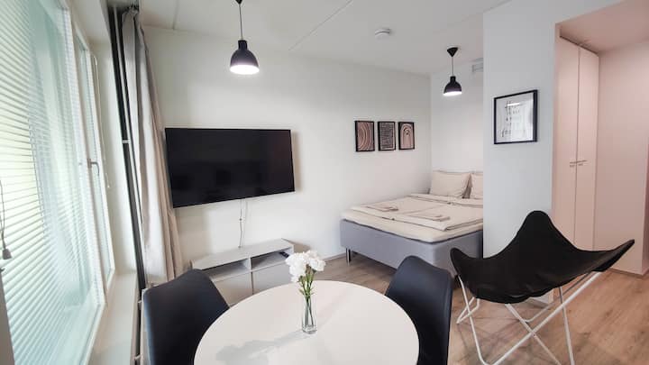Lovely Peaceful Studio/close To Airport/free Park - Helsinki