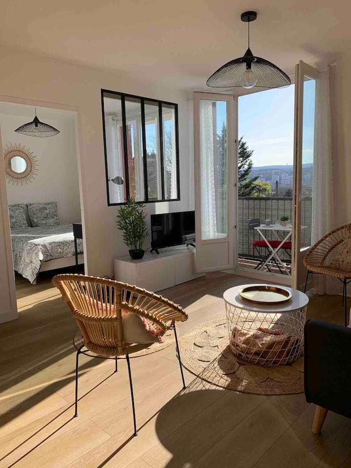 Le Bellevue - Gare - 3 Chambres, Parking Possible - Dijon