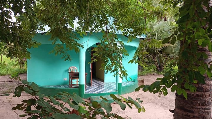 Whole African Jungle Roundhouse On The Beach - The Gambia