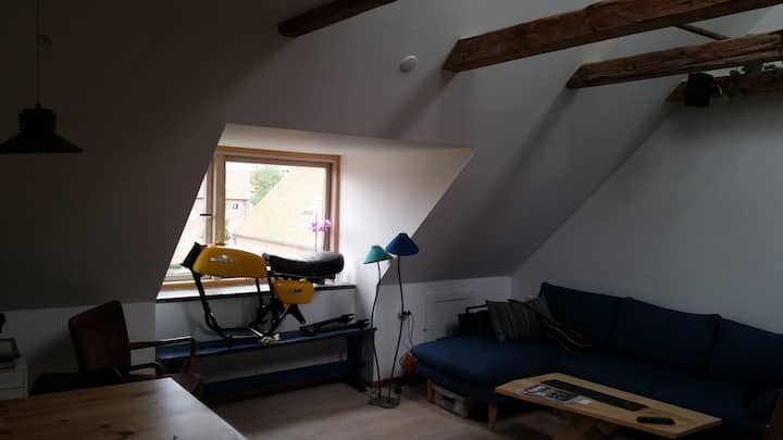 Bright And Cozy Roof Appartment - Aarhus
