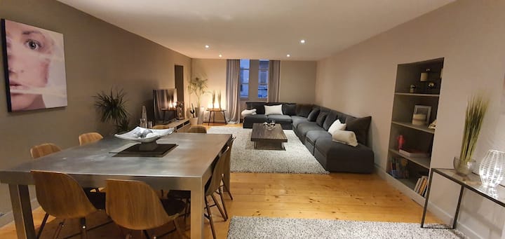 Annecy Centre : Appartement 130m2 Situation Idéale - Seynod