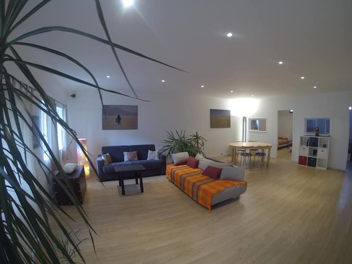 Tony's B&b Bio - Strasbourg - Wacken-pmc-pe - Strasbourg