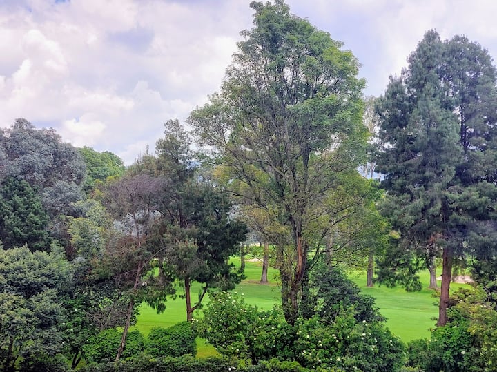 Segurida Y Tranquilidad En Bogota 24/7 - Bogota