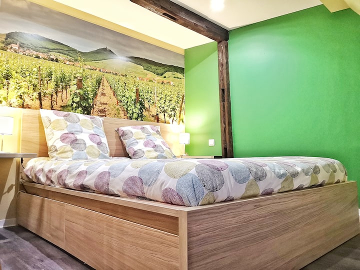 ★Splendide★centre★parking Privé★clean★ - Barr