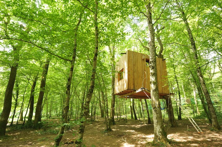 Cabane Dans Les Arbres,  Cabane Ecureuil - Arc-et-Senans
