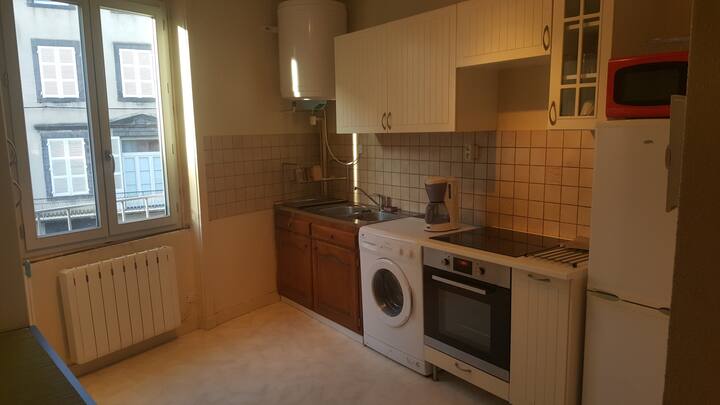 T1 Bis 35m2 Meublé Hyper Centre Thiers - Thiers