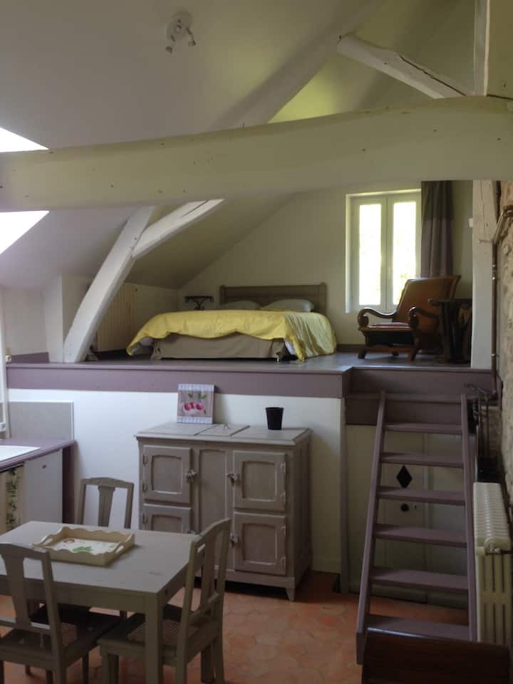 Studio Indépendant Avec Cuisine 40 M2 - Aube