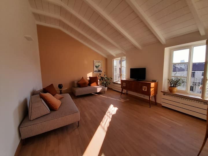 Attico Incantevole Carlina - Turín