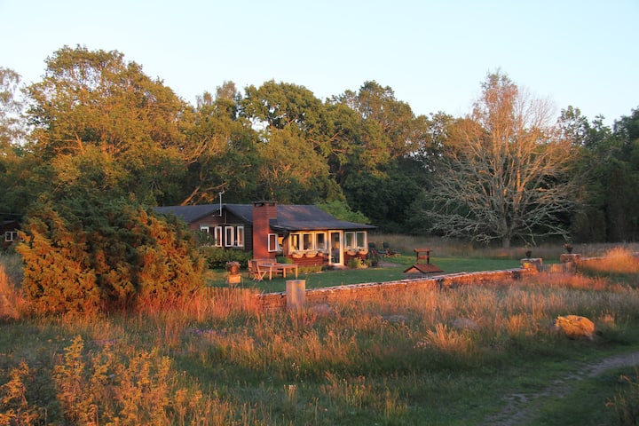In A Nature Reserve By The Sea - Mörbylånga