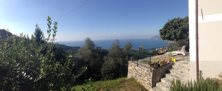 A Lovely Flat, A Garden And A View. - Camogli