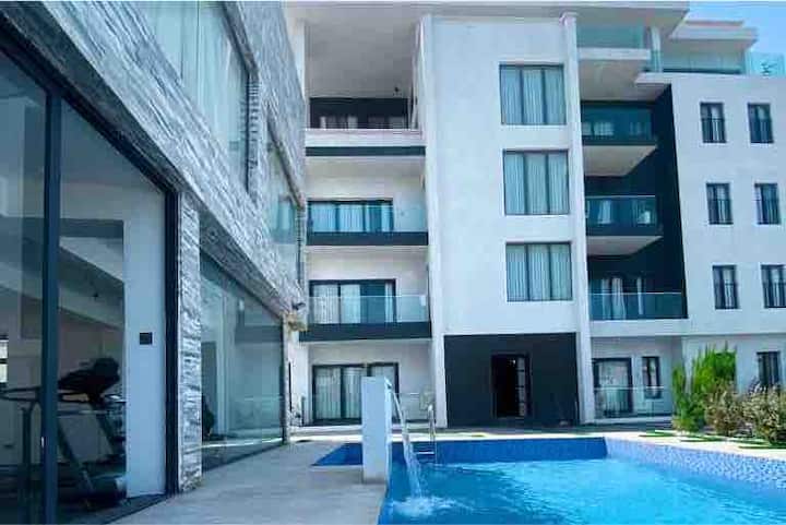 Premier Plush Apartment - アクラ