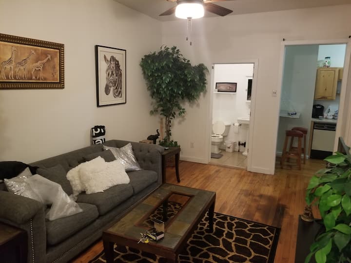 Super Spacious 1 Bed In The Stuart Neighborhood - Kalamazoo, MI