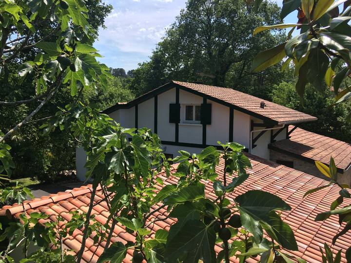 Bienvenue Dans Notre Douce Maison Du Pays Basque - Zugarramurdi